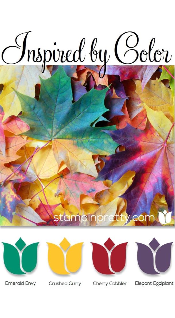 Inspired by Color & Flourishing Phrases