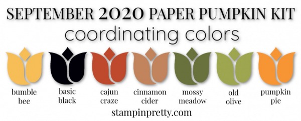 September Paper Pumpkin Alternate Ideas: Hello Pumpkin!