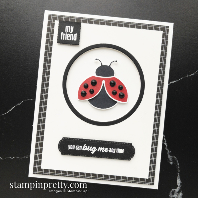 A Cute Friend Card with Hello Ladybug Bundle