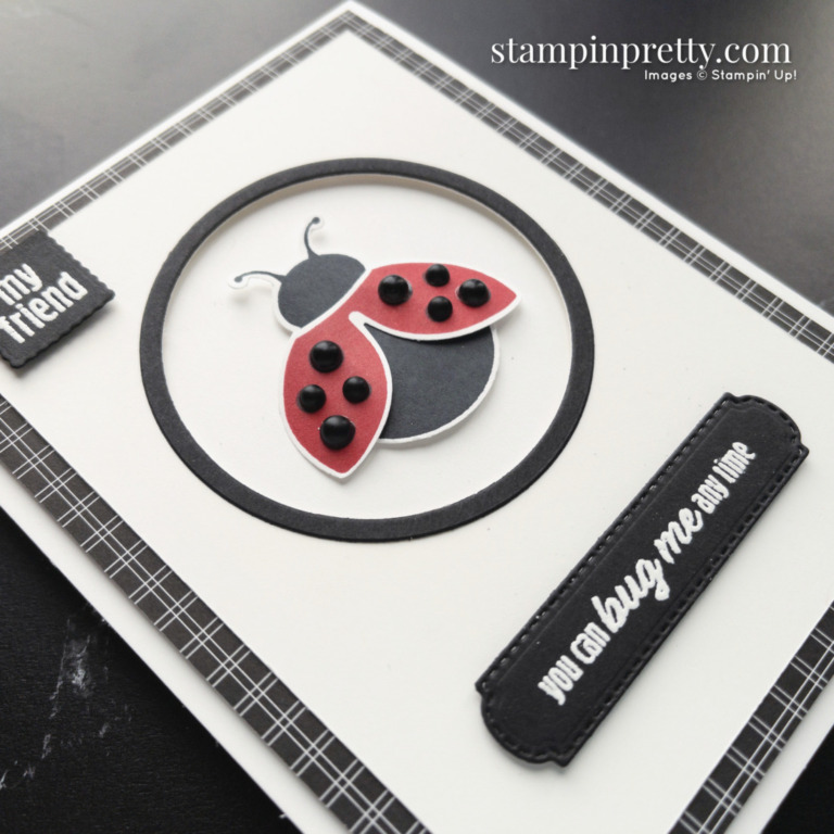 A Cute Friend Card with Hello Ladybug Bundle
