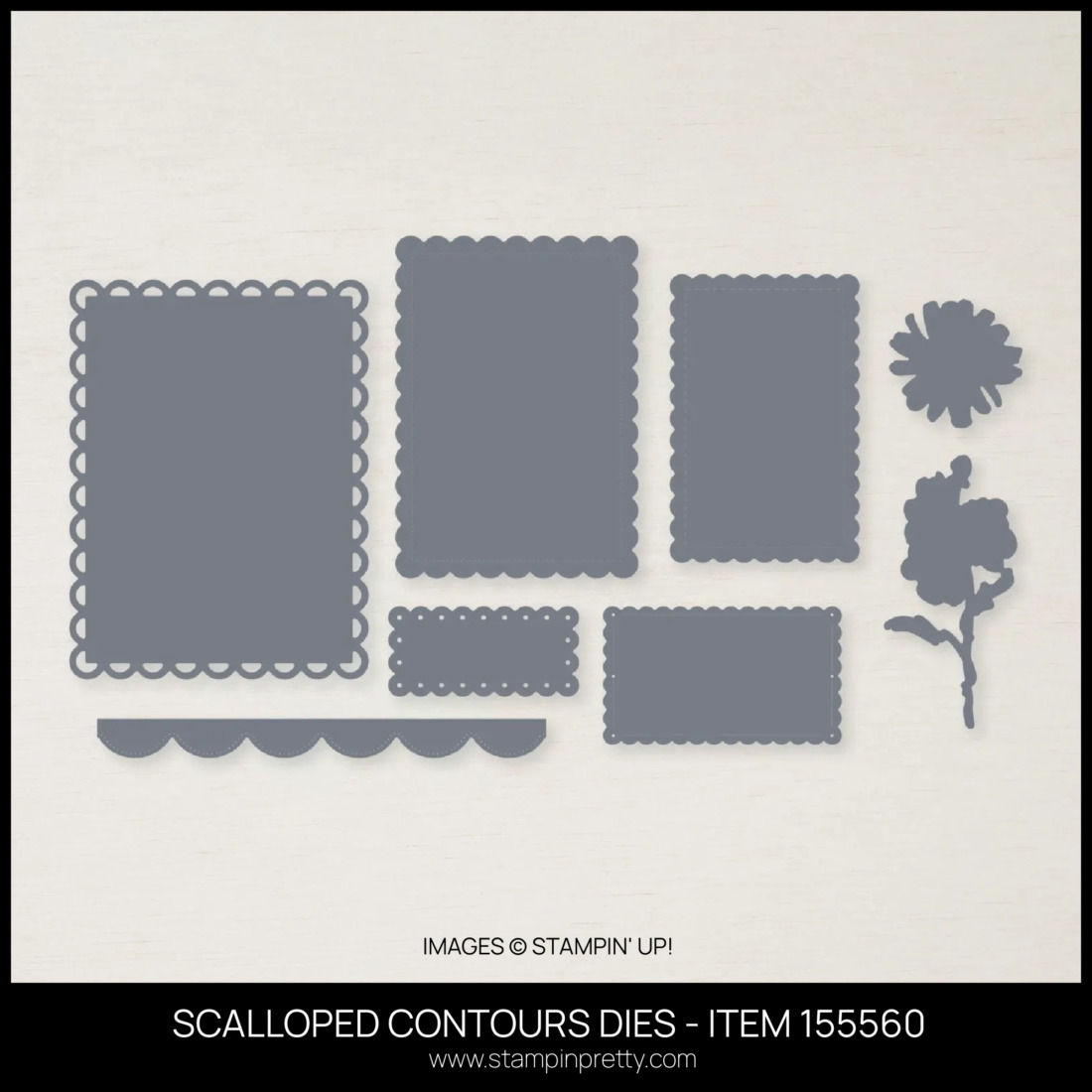 Simple & Pretty Design with the Petal Patterns Dies