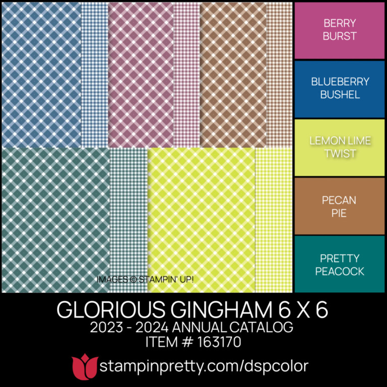 Meet the NEW Designer Series Paper & UPDATED Color Charts