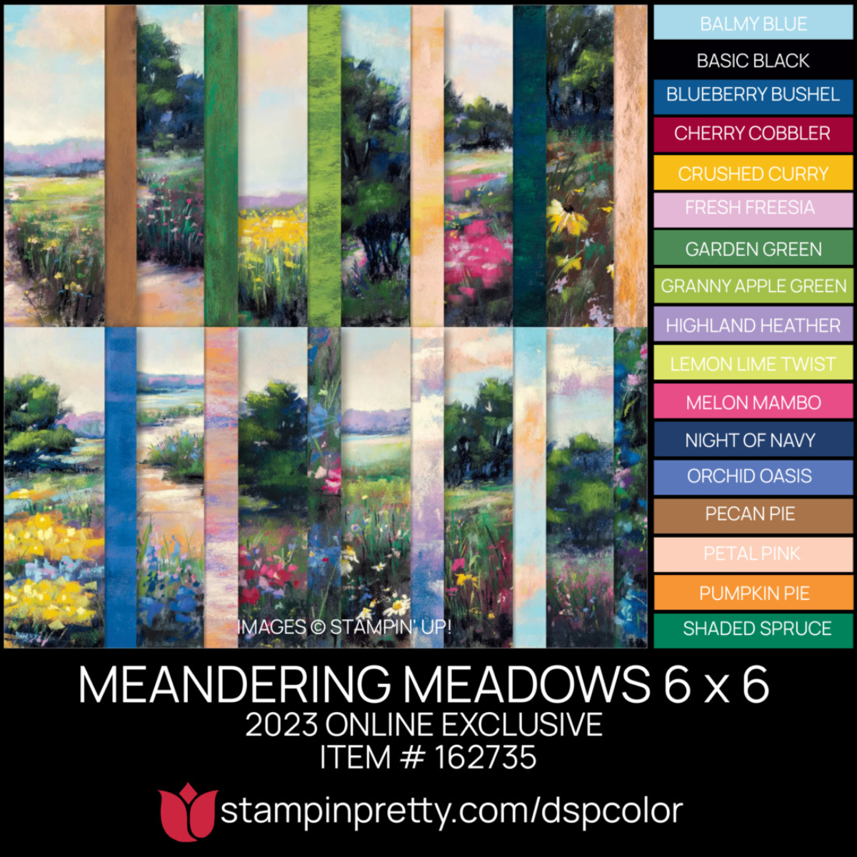 Designer Series Paper Color Charts - Stampin' Pretty