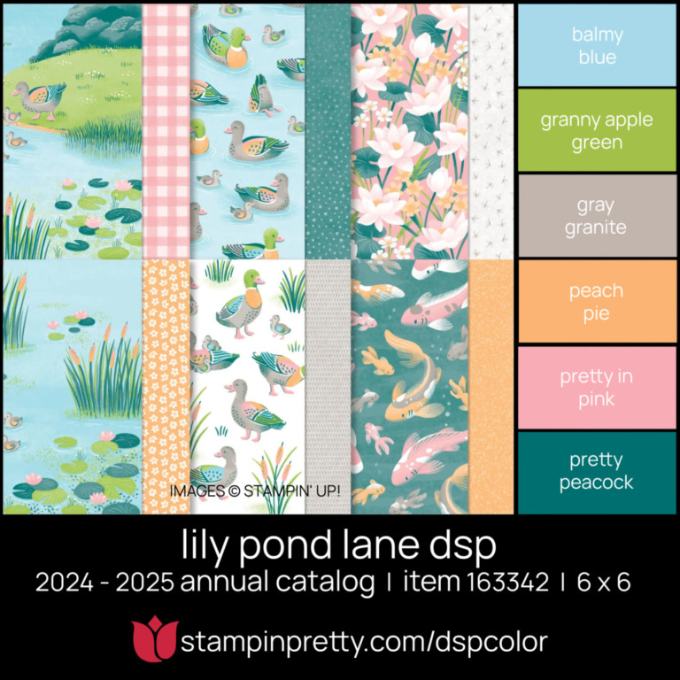 LOOK! The NEW Annual Catalog Designer Series Paper + FREE Color Charts